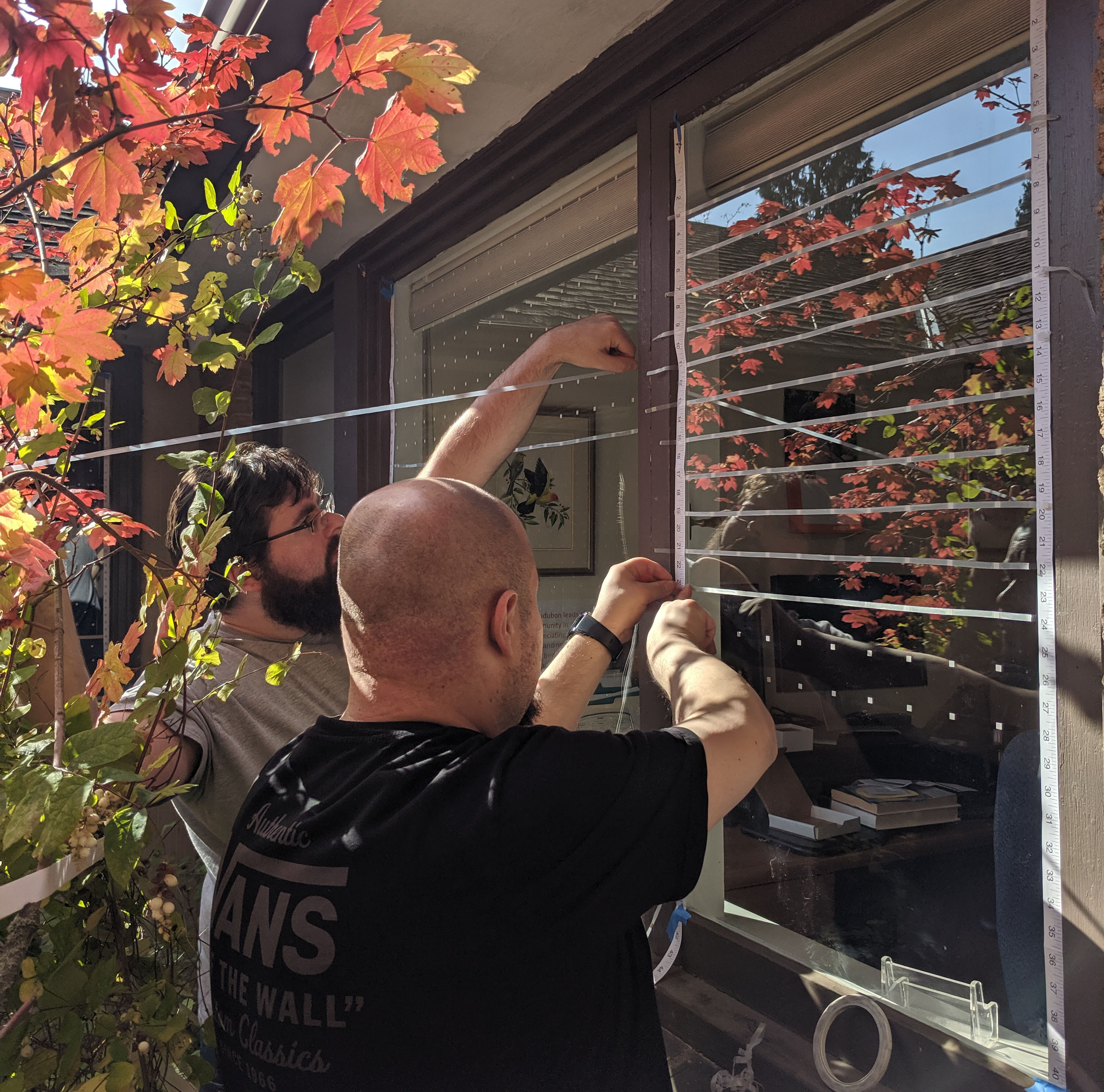 FeatherFriendly Window Markers - Birds Connect Seattle