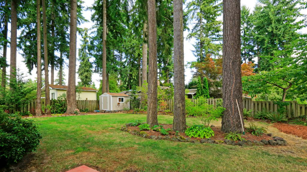 Executive Order to Protect Seattle’s Urban Tree Canopy on Private ...