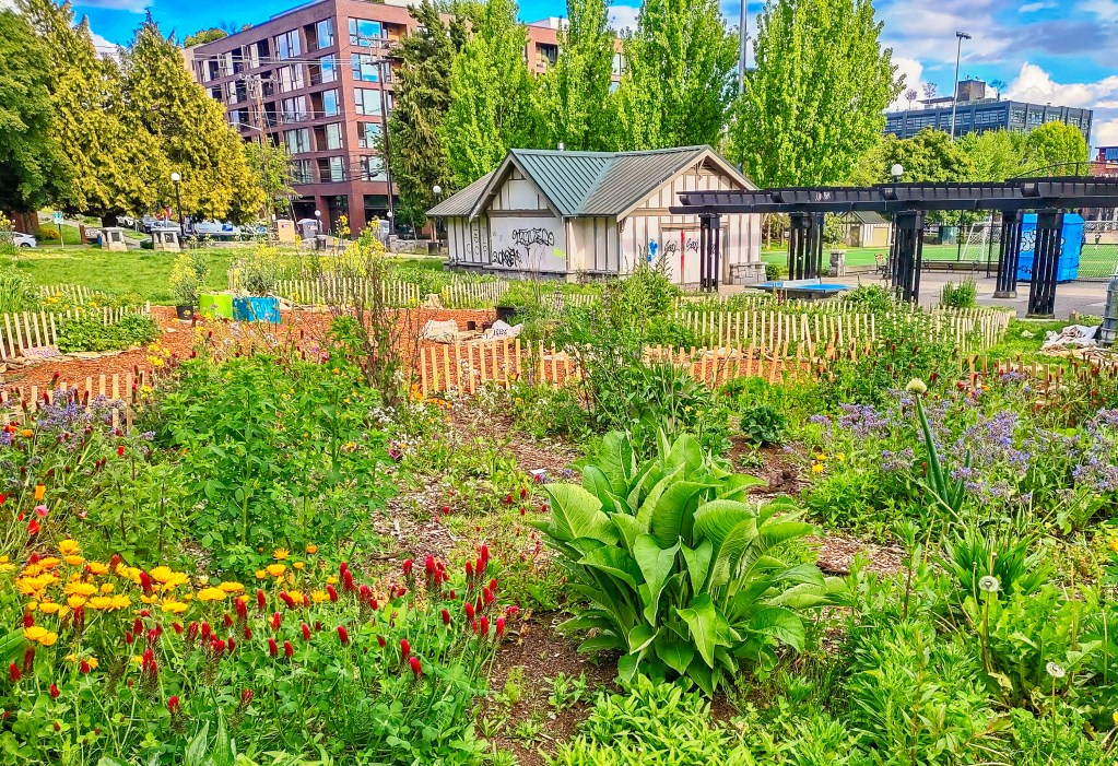 Support for BLM Garden - Birds Connect Seattle