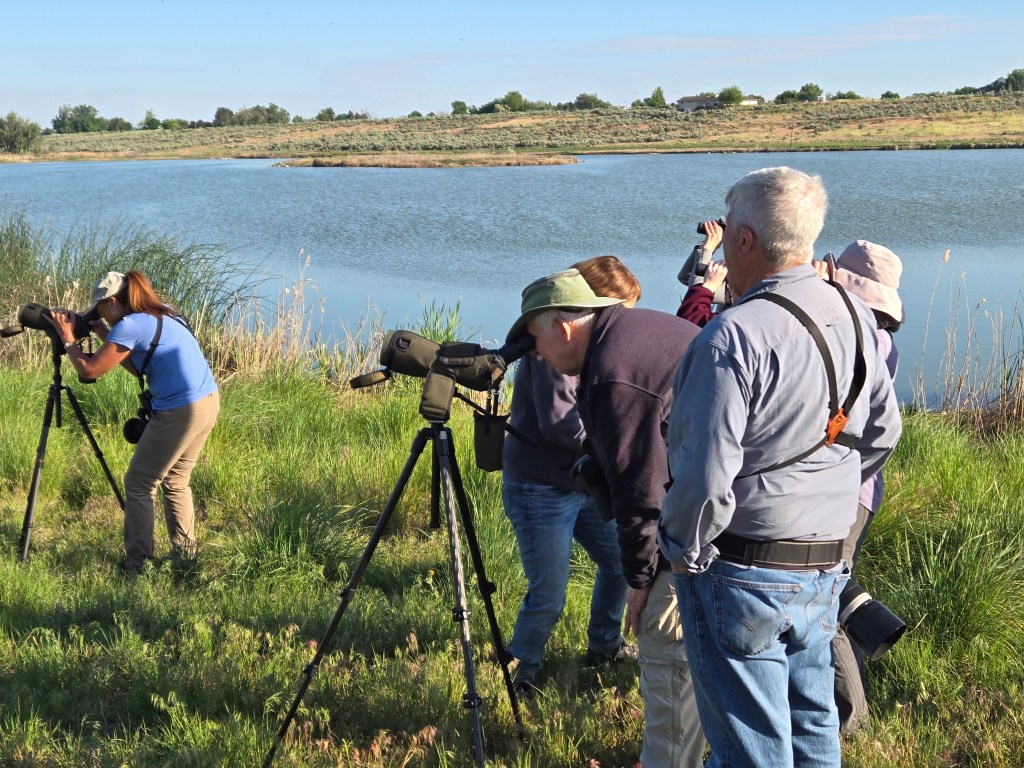 Birding Across Washington State's Ecoregions - Birds Connect Seattle