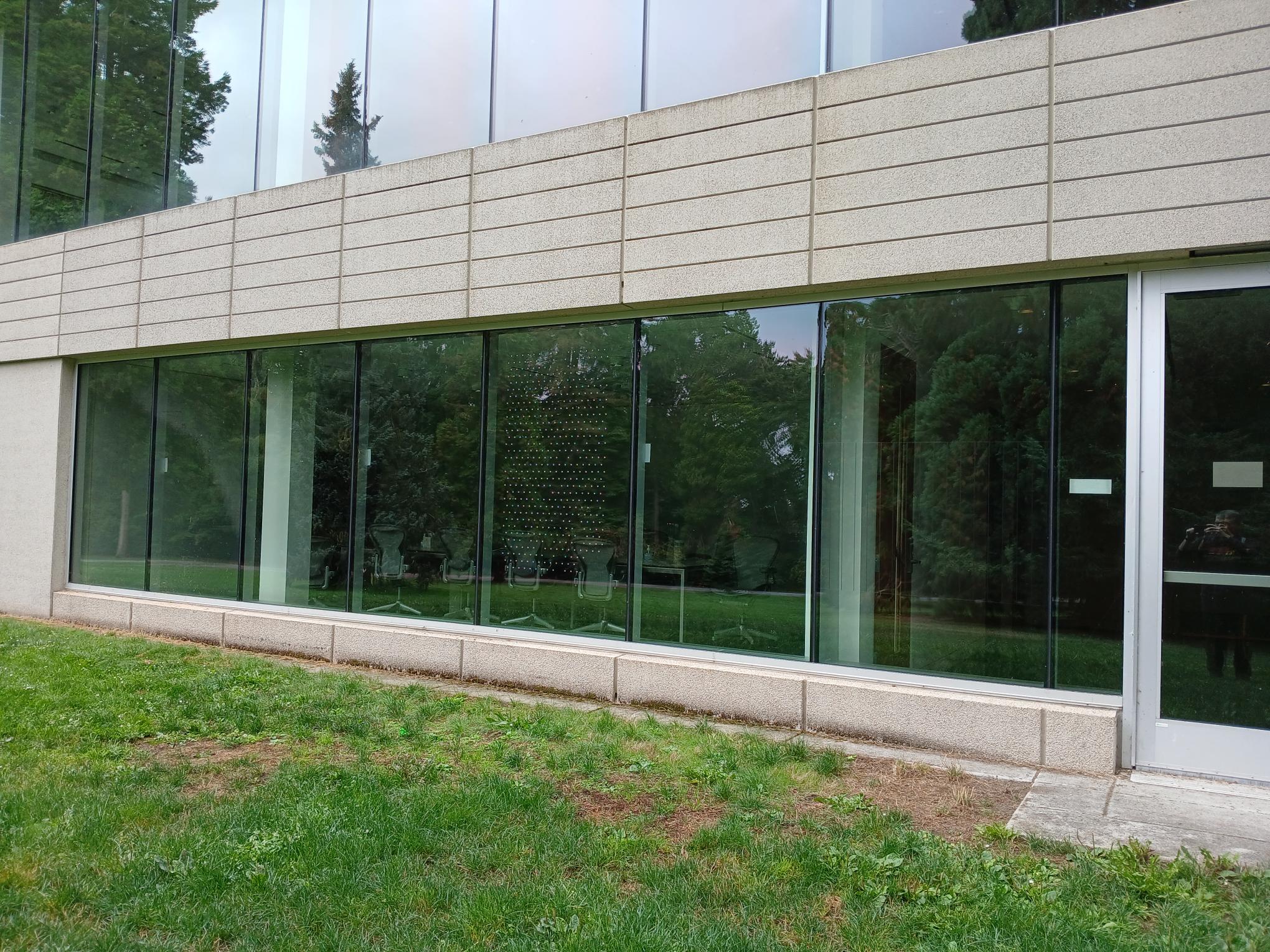 Bird Collision Hot Spot Takes Steps to Find Solution - Birds Connect ...