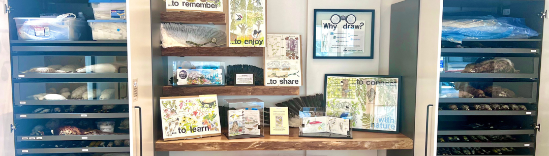 Exhibits - Birds Connect Seattle